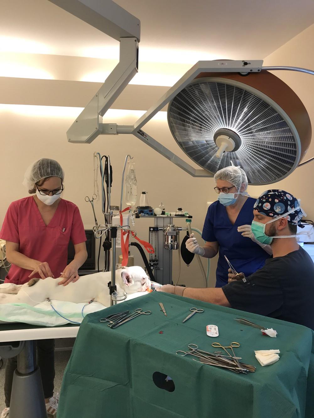 Chirurgie et anesthésie - Visite guidée - Horaires et services non médicaux